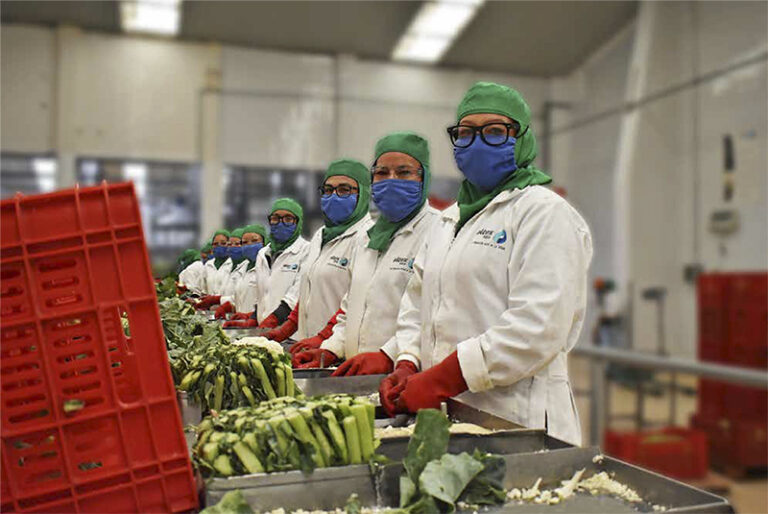 GRUPO ALTEX – GRUPO ALTEX